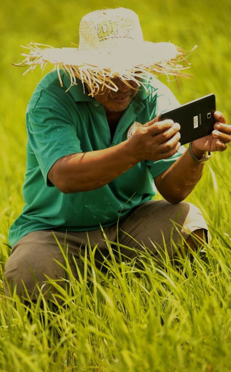 Through Digital Farmers Program, Smart helps uplift farmers' lot