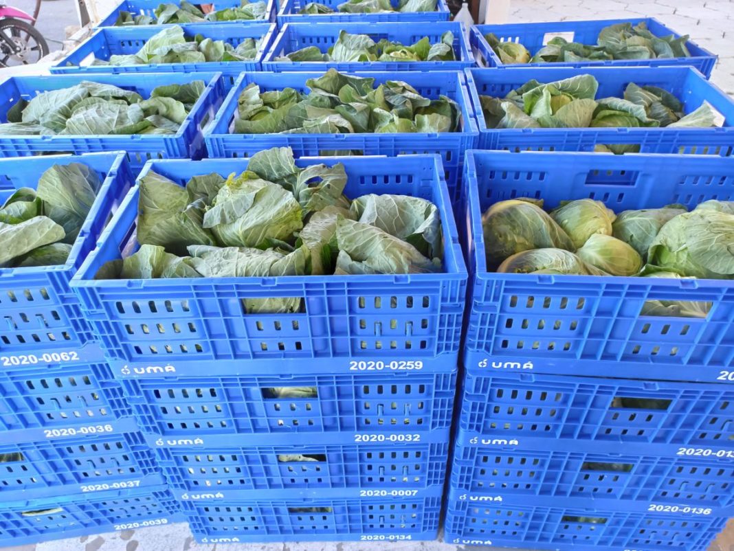 UMÁ app agri-trading platform brings farms and entrepreneurs together